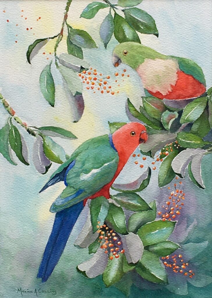Wildlife - Maxine Collins Artist
